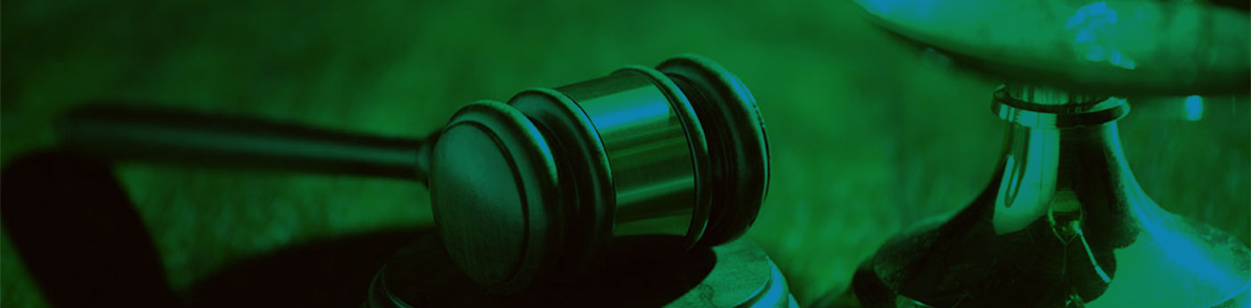 Attorney Profile | Law Offices of Sue Sahami - Santa Ana, OC, CA